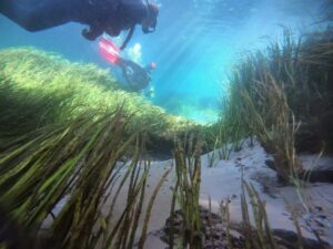 Rainbow River, Florida: A Natural Paradise - Things in florida